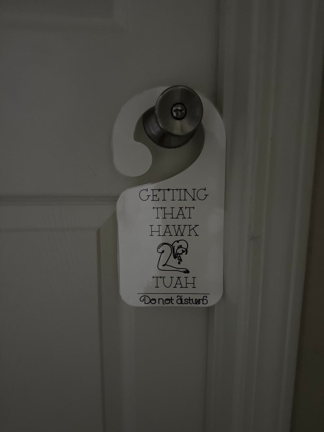 Hawk Tuah Door Sign - Etsy