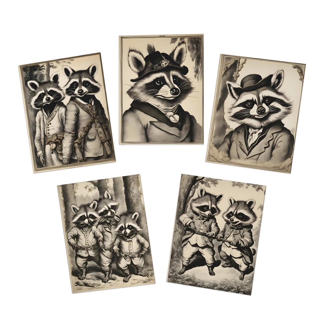 Old Stye Raccoon Drawings Multi-design Greeting Cards 5-pack - Etsy