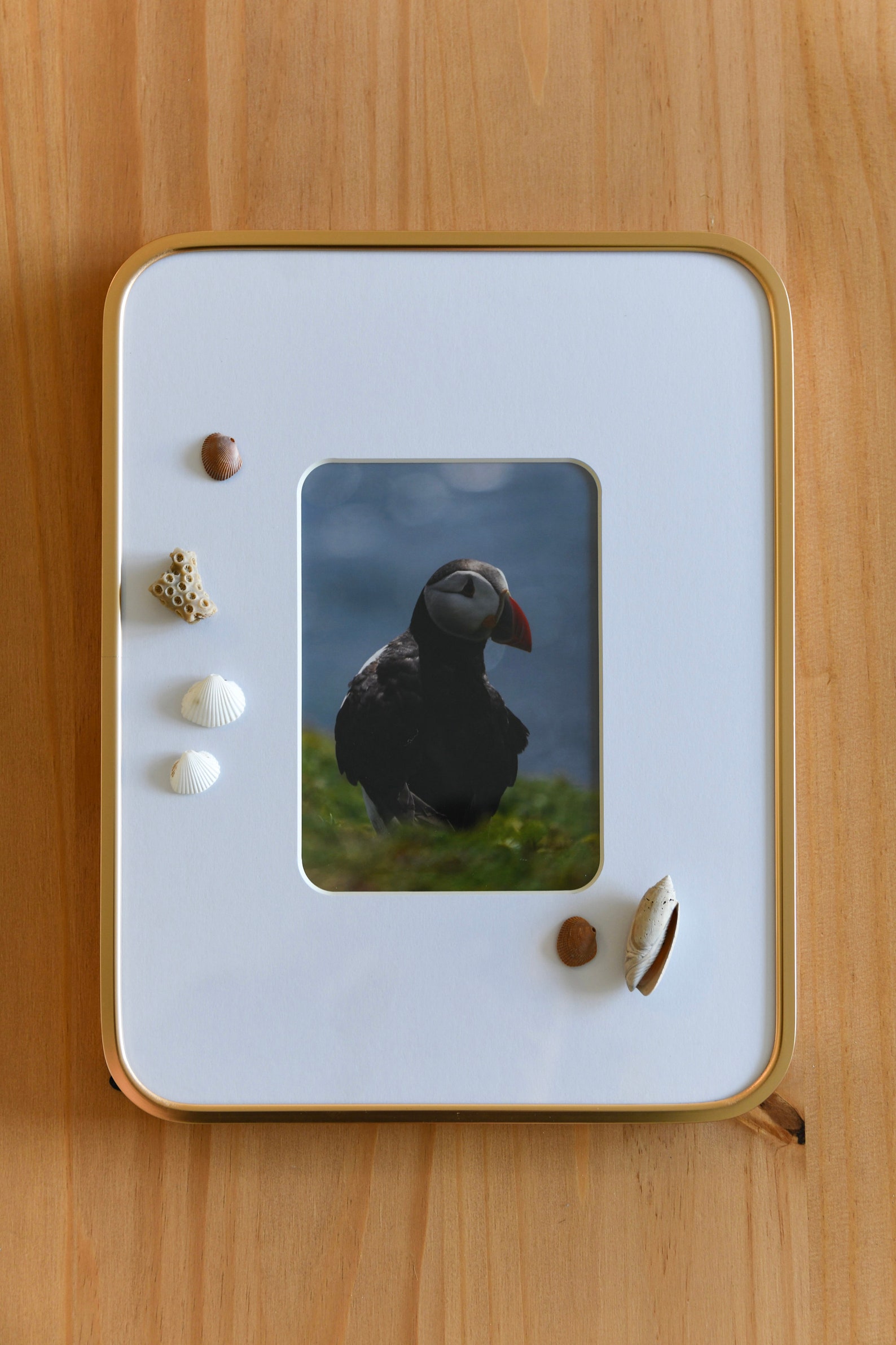 Original 10in. X 15in. Photo Print - Count Your Sheep (cliffs of Moher ...