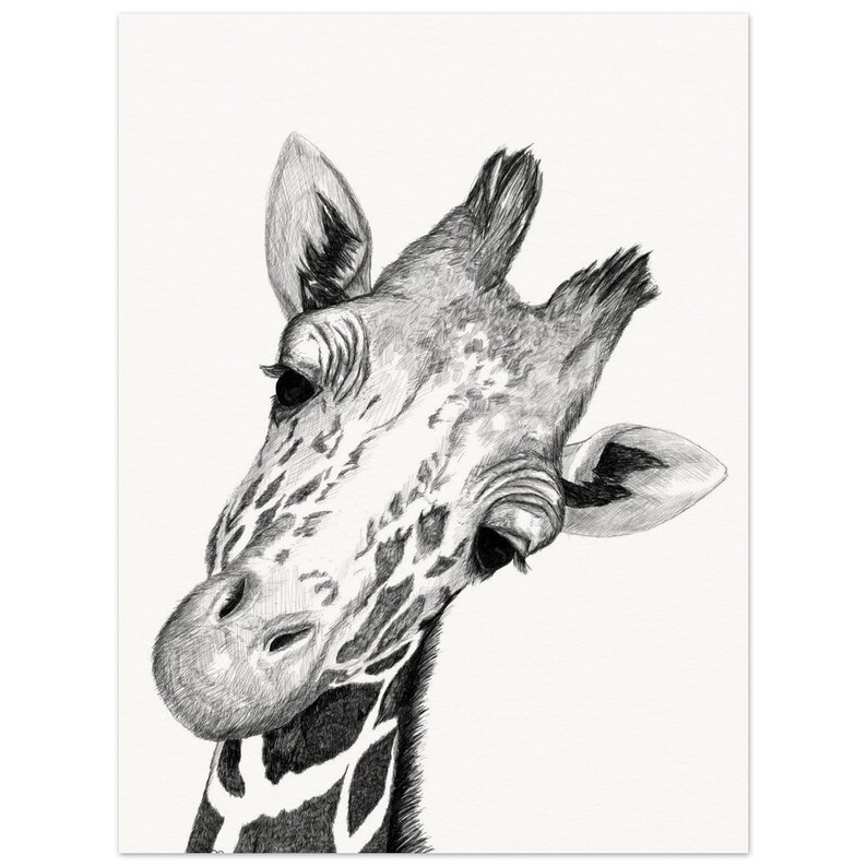 The Happy Giraffe Portrait, Drawing. - Etsy