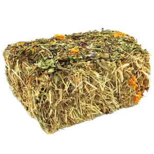 Foraging Fun Baby Bale Bunny Delight Miniature Hay Bale for Rabbits ...