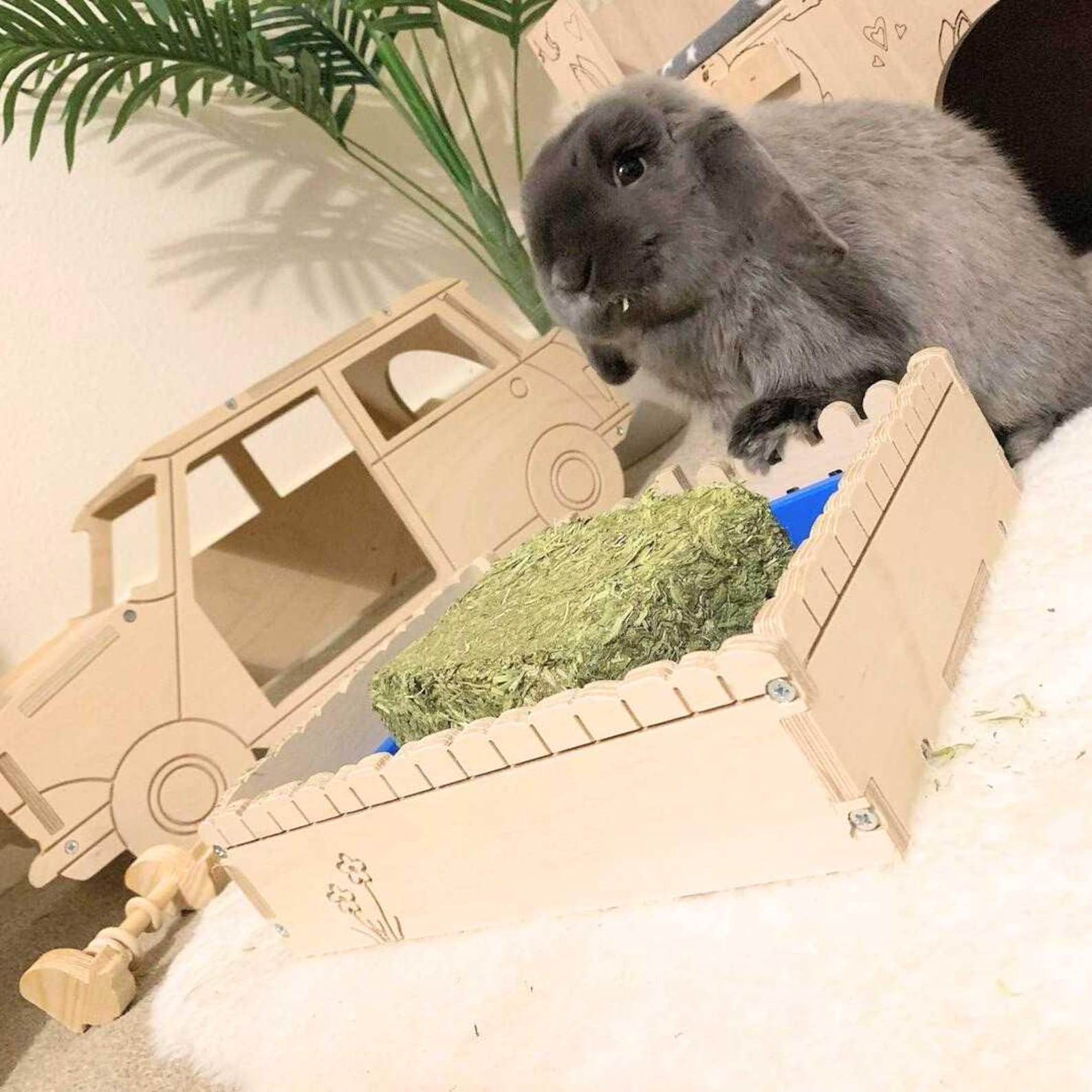 Timothy Hay Brix: Natural Foraging Block for Rabbits - Etsy UK