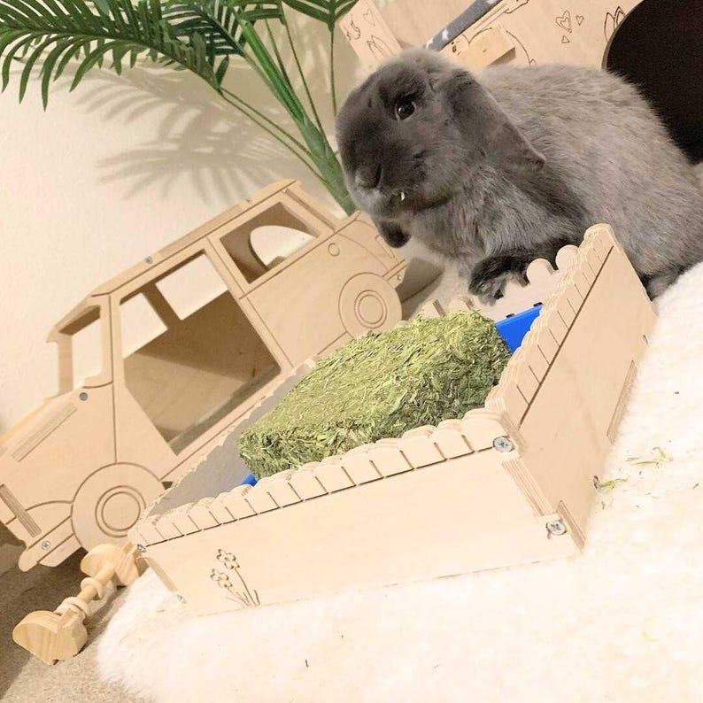 Timothy Hay Brix: Natural Foraging Block for Rabbits - Etsy UK