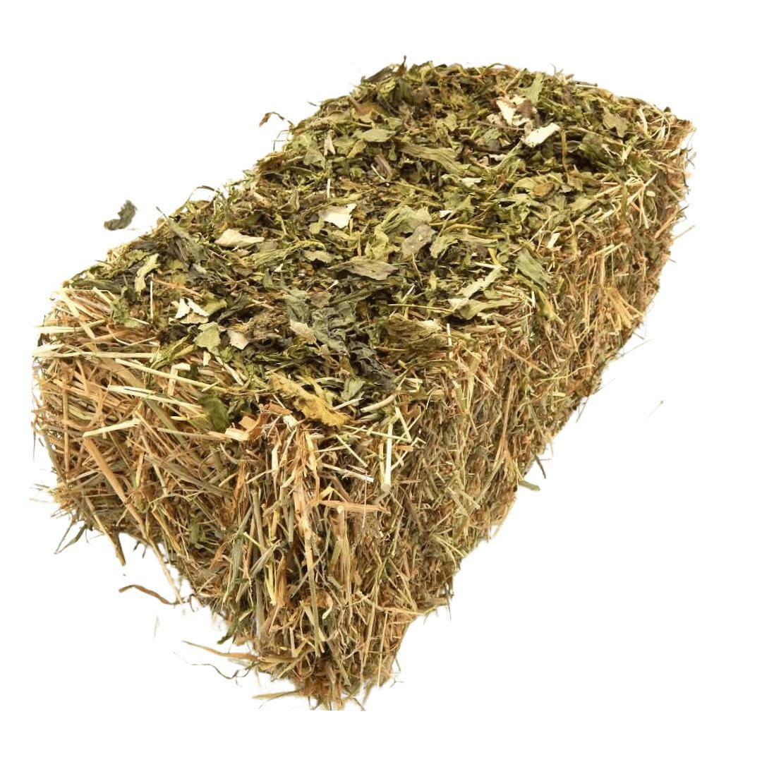 Baby Hay Bale for Rabbits, Guinea Pigs – Dandelion & Plantain ...