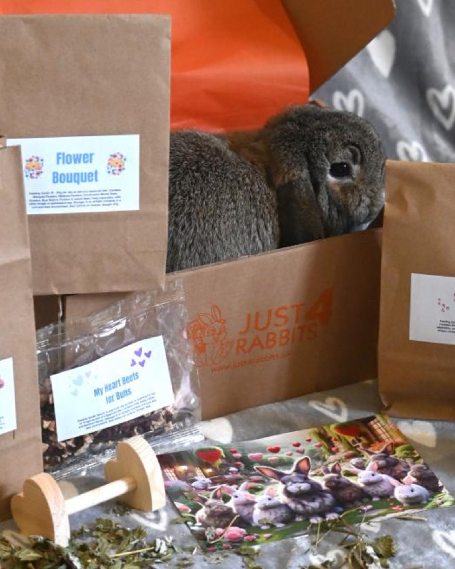 Monthly Forage Box for Rabbits, Bunny Box, Forage, Toys, Treats for ...