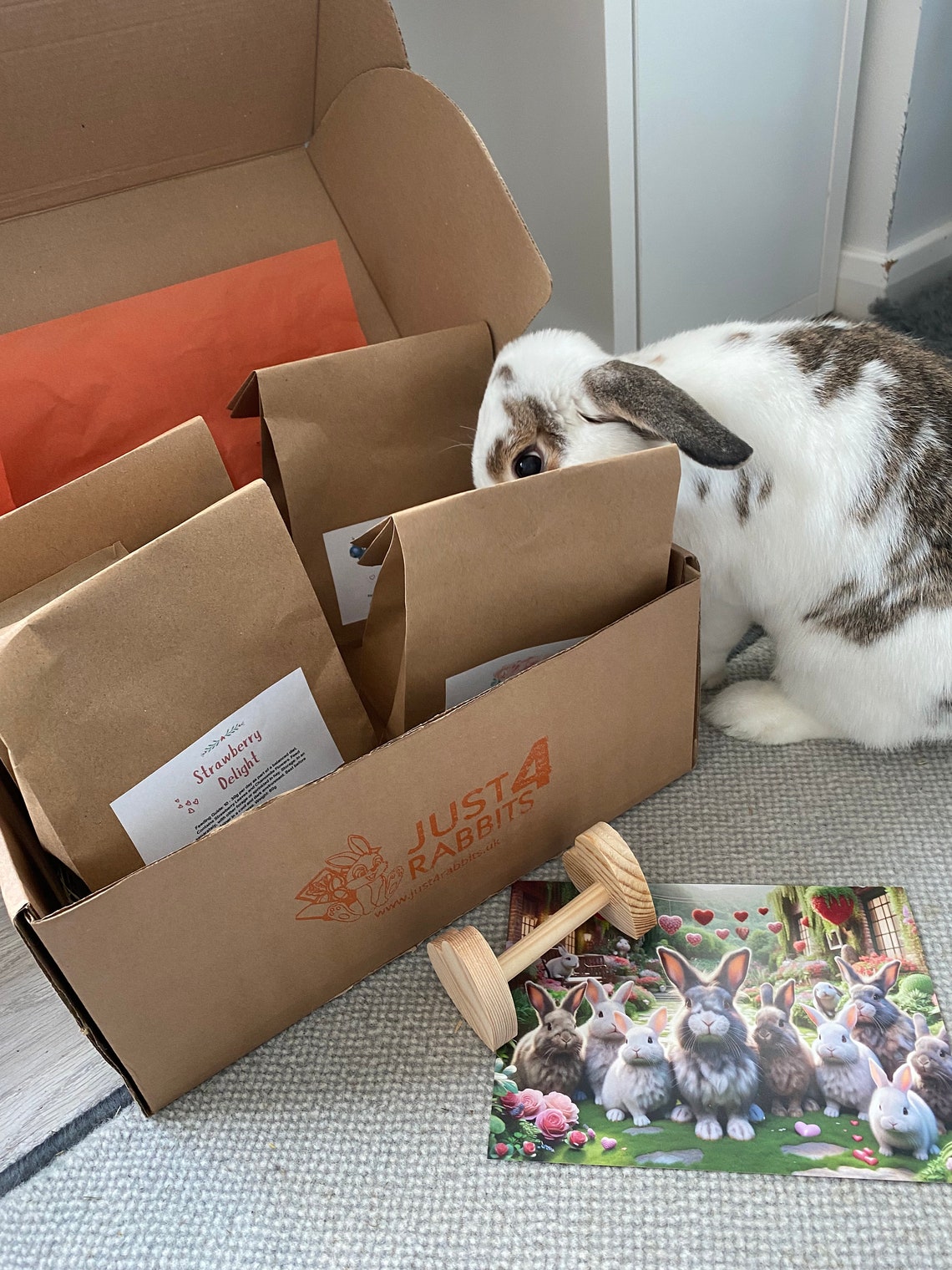 Monthly Forage Box for Rabbits, Bunny Box, Forage, Toys, Treats for ...