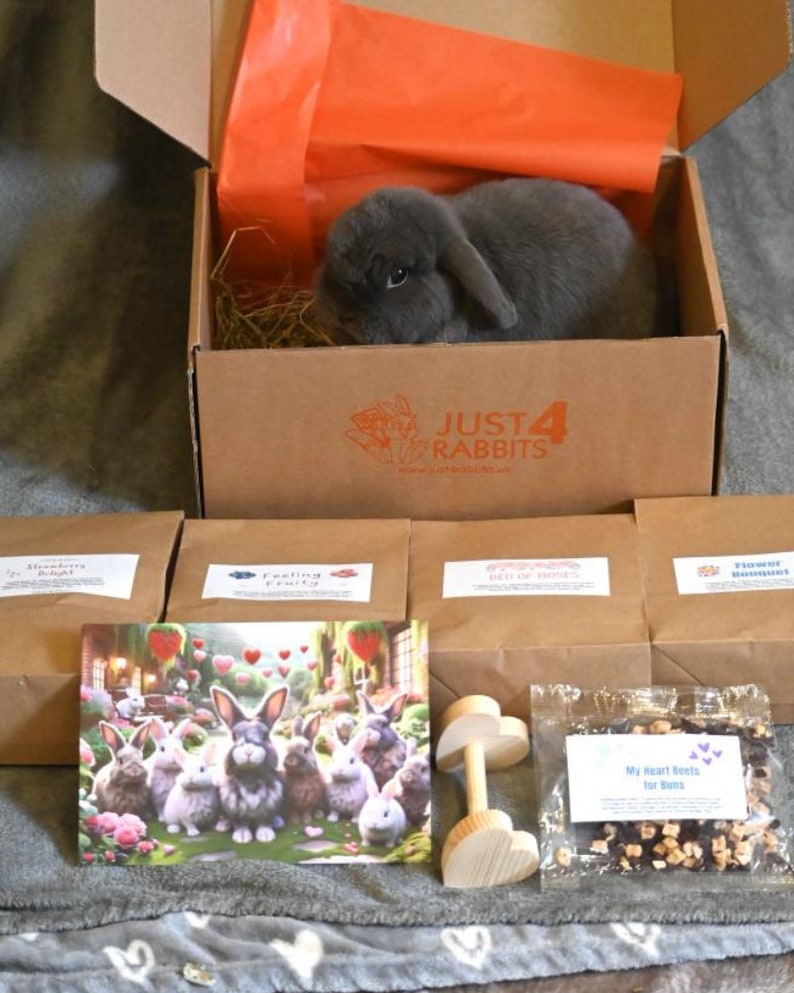 Monthly Forage Box for Rabbits, Bunny Box, Forage, Toys, Treats for ...