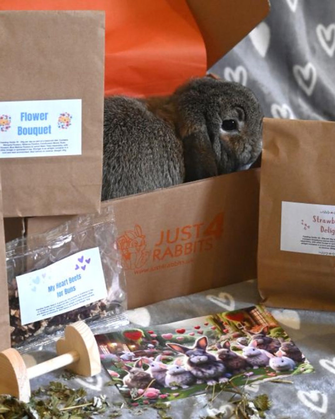 Monthly Forage Box for Rabbits, Bunny Box, Forage, Toys, Treats for ...