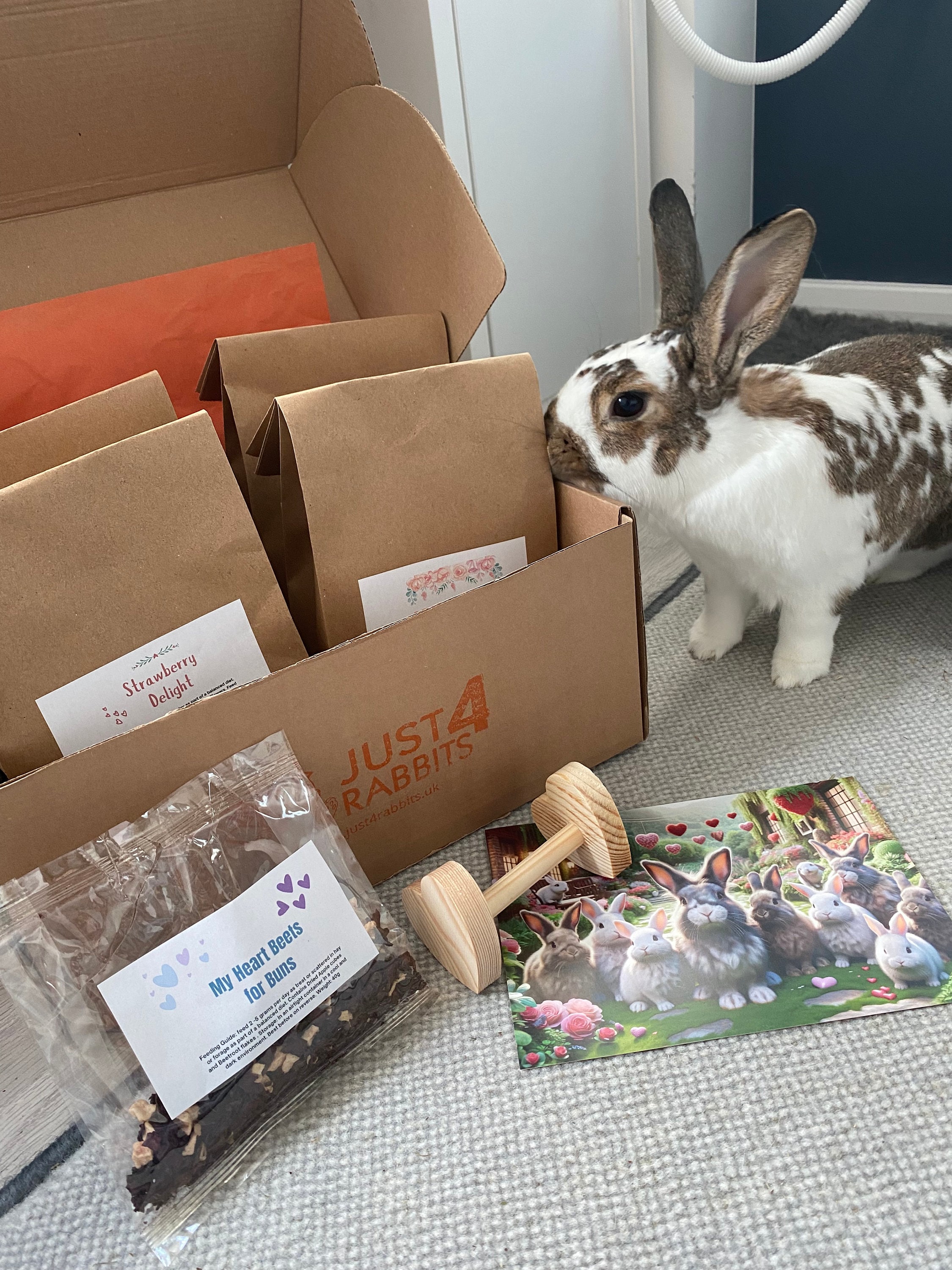 Monthly Forage Box for Rabbits, Bunny Box, Forage, Toys, Treats for ...