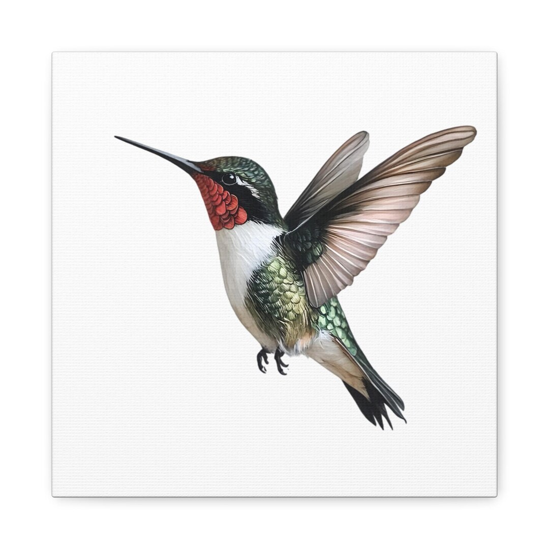 Ruby Throated Hummingbird Wall Art Decor, Canvas Print, Bird Lover Gift ...