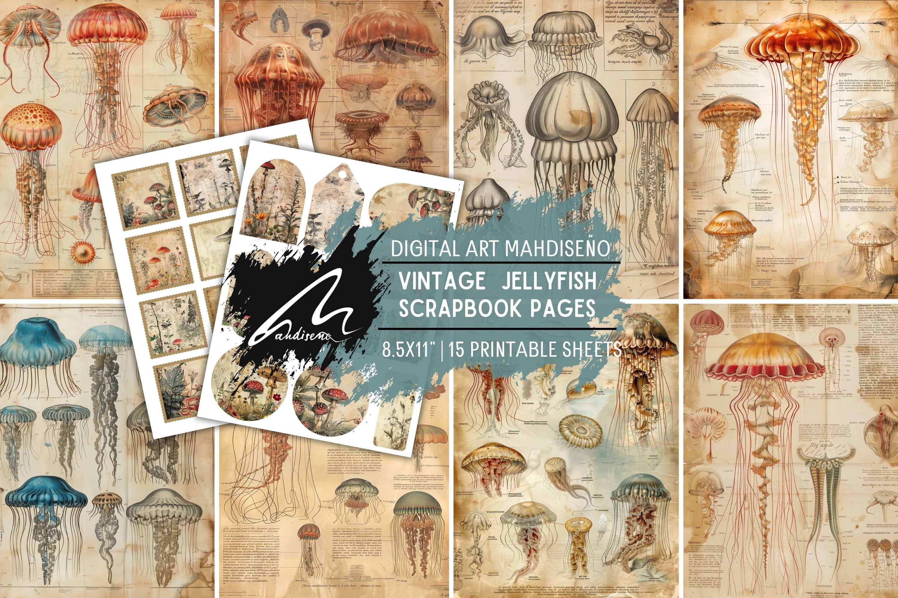 Jellyfish Anatomy Poster