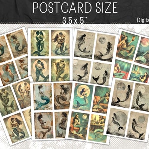 Lunar Tide Reflections Bundle: Captivating Mermaids Under Moonlight ...