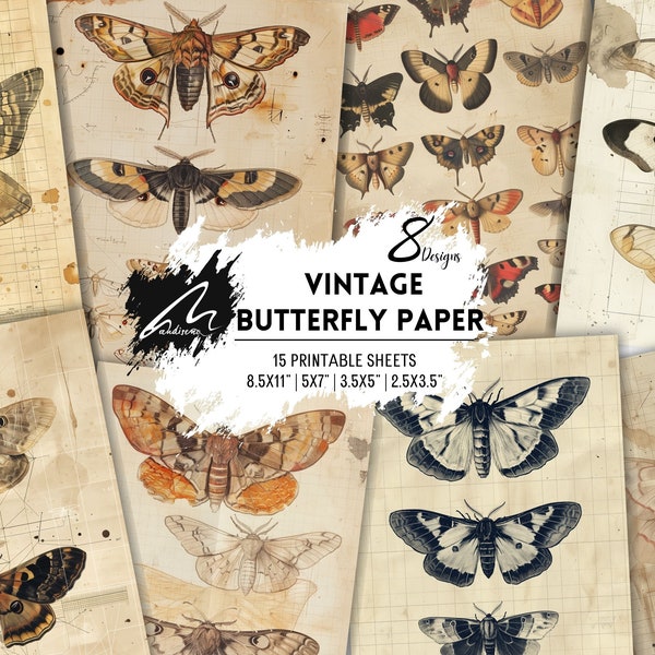 Insect Collection - Etsy