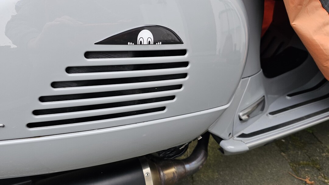 Vespa Side Cheek Emblem Take a Look - Etsy