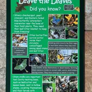 Leave the Leaves Sign 18" X 12" - Etsy