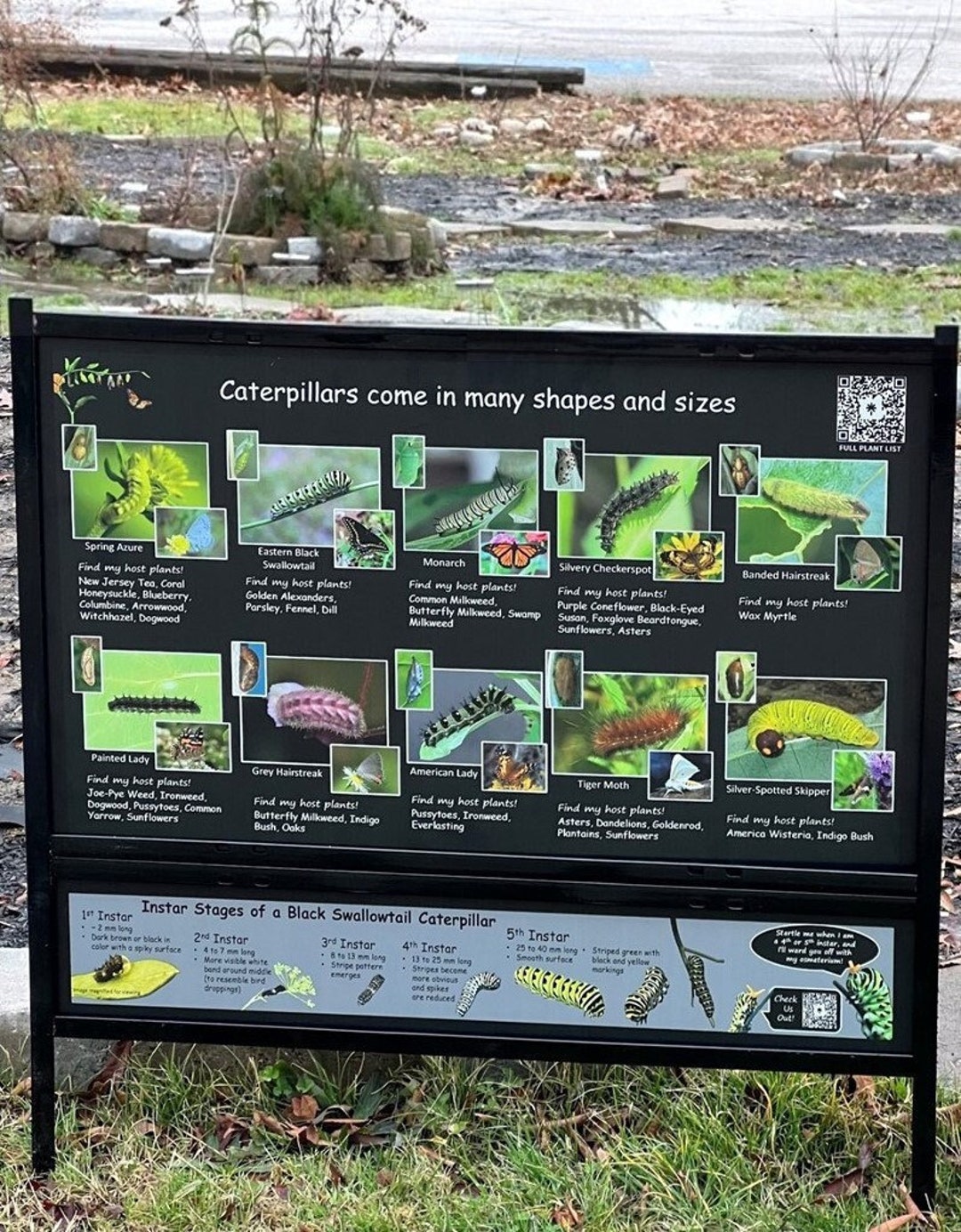 Swallowtail Sign 6x30 AND All About Caterpillars Sign 18x30 WITH Stand ...