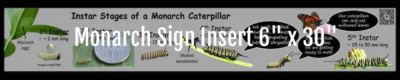 All About Caterpillars Sign 18x30 - Etsy