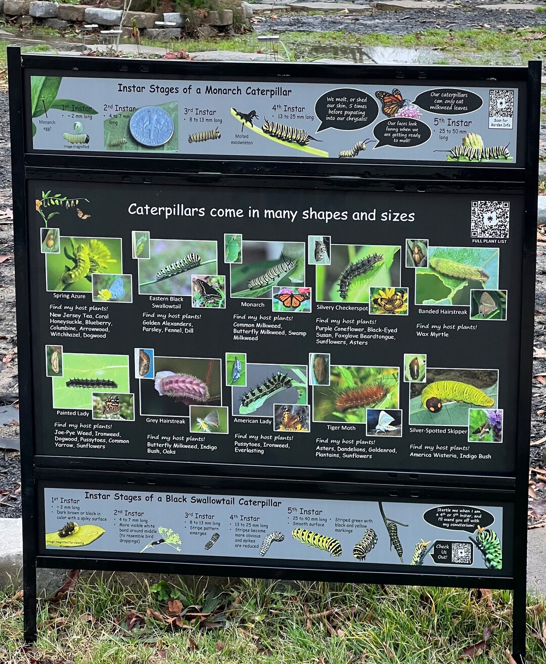 All About Caterpillars Sign 18x30 WITH Sign Stand - Etsy