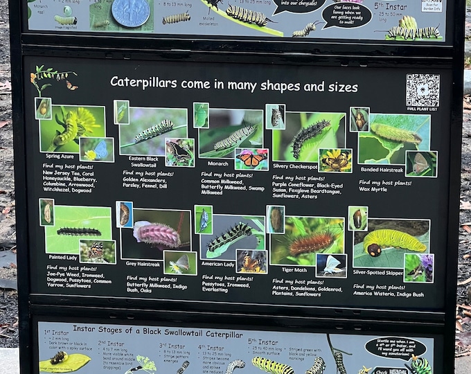 All About Caterpillars Sign 18x30 WITH Sign Stand - Etsy