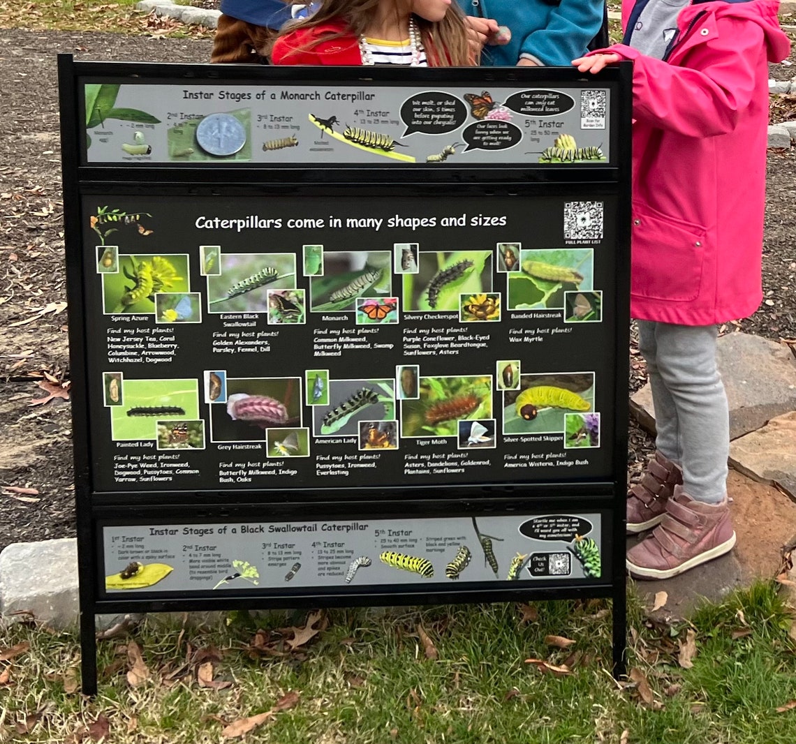 All About Caterpillars Sign 18x30 - Etsy