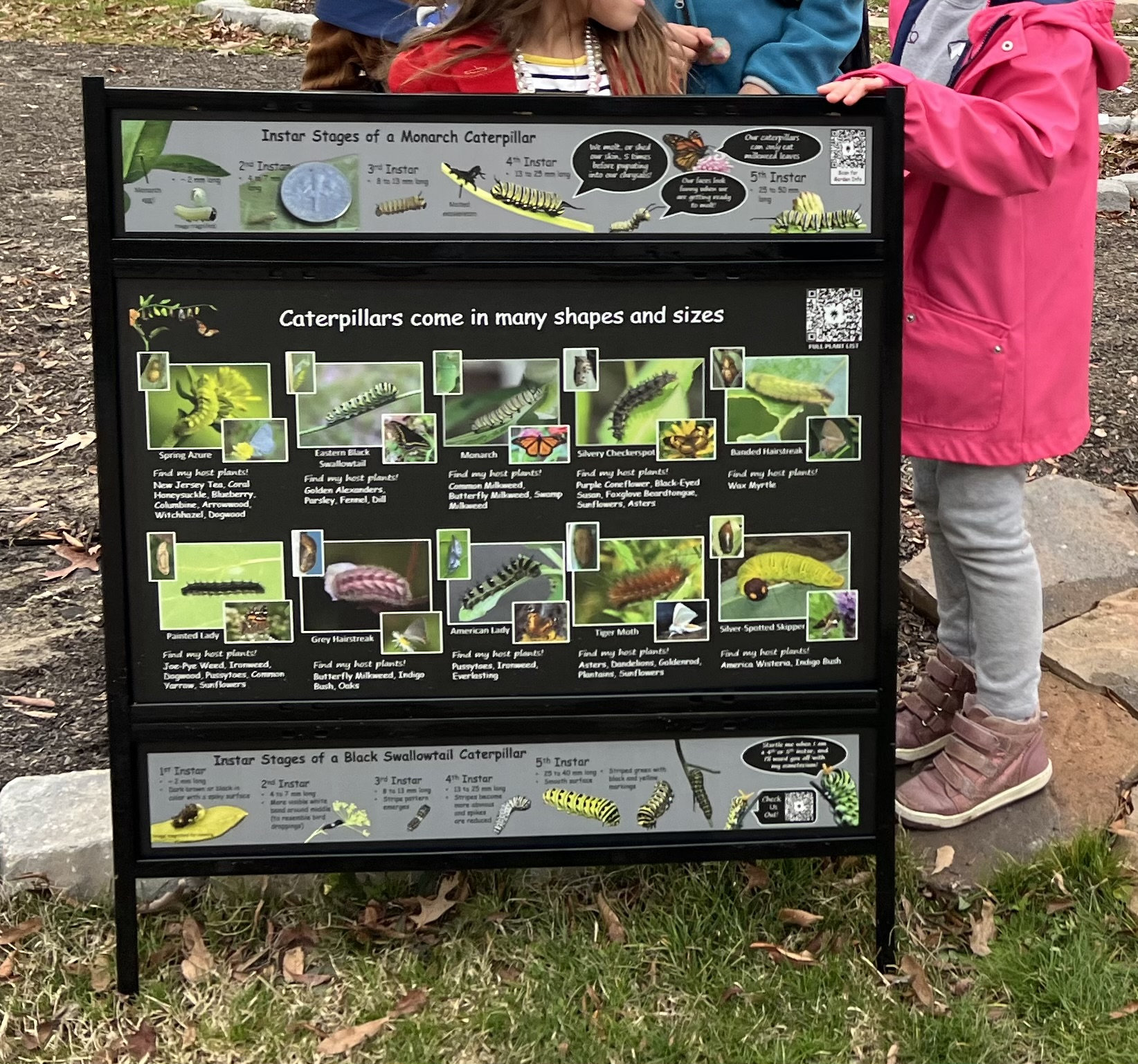 All About Caterpillars Sign 18x30 - Etsy