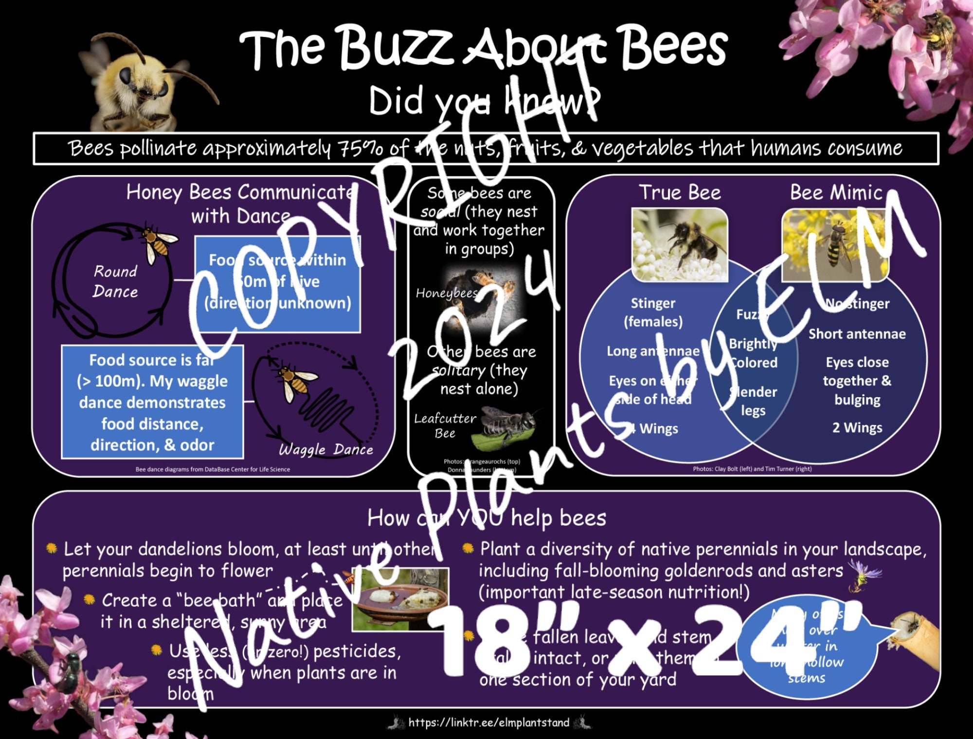 Spanish&english Buzz About Bees Sign 18x24 - Etsy