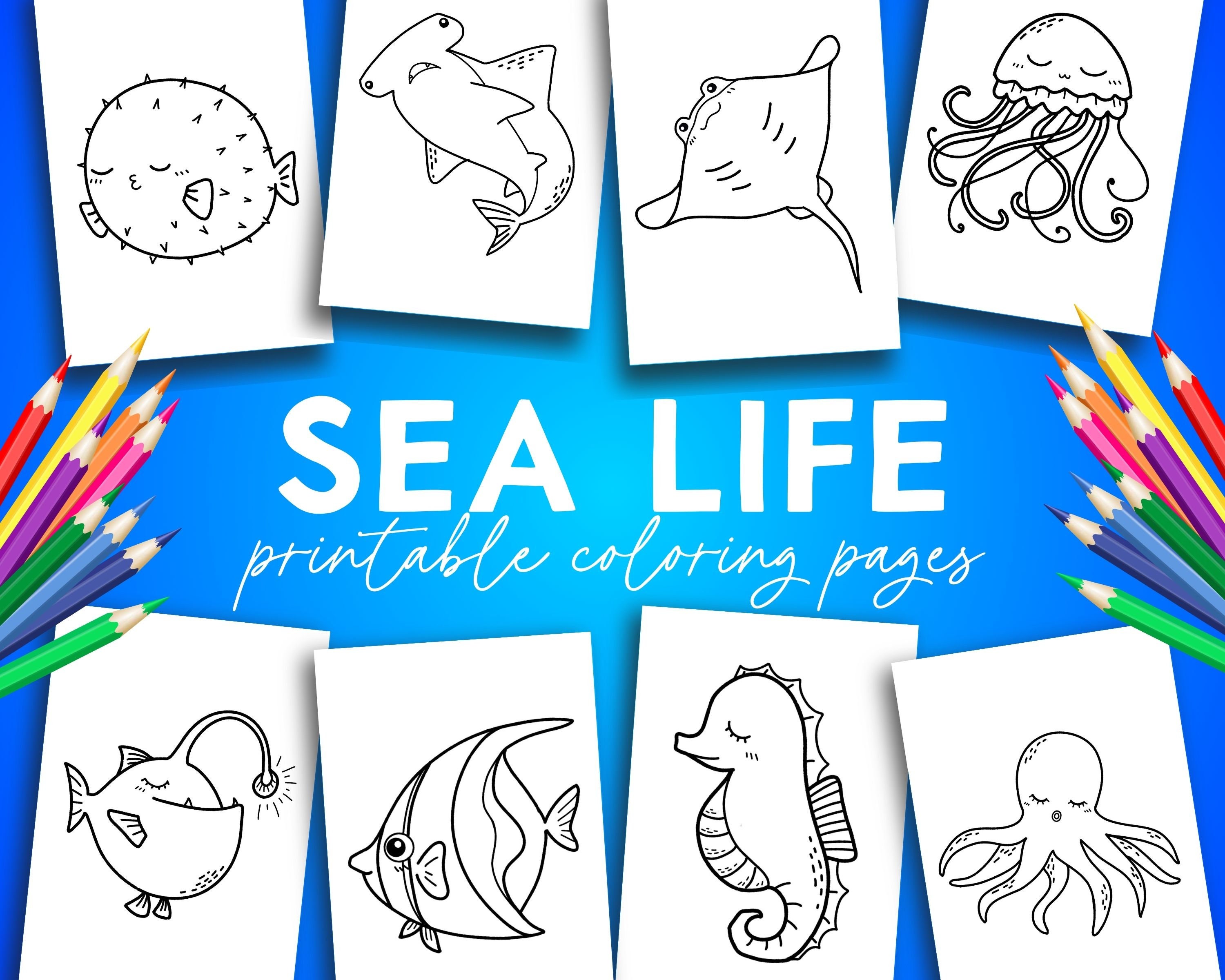Sea Life Printable Coloring Pages. Kids Underwater Animals Coloring ...