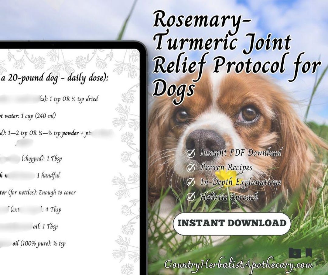 Natural Herbal Dog Recipe: Rosemary-turmeric Joint Relief Protocol for ...