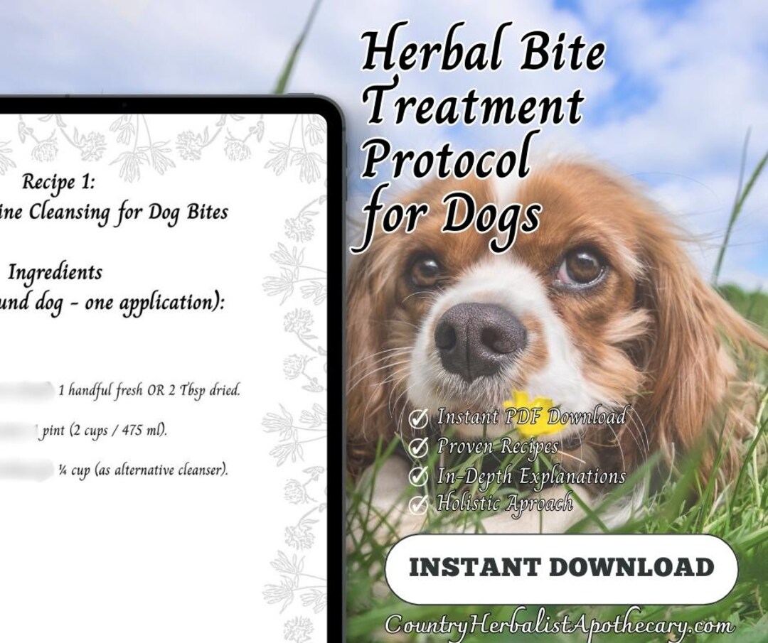 Natural Herbal Dog Recipe: Herbal Bite Treatment Protocol for Dogs ...