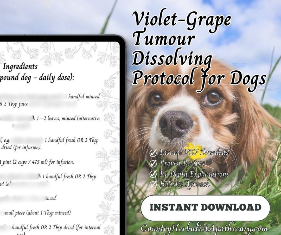 Natural Herbal Dog Recipe: Violet-grape Tumour Dissolving Protocol for ...