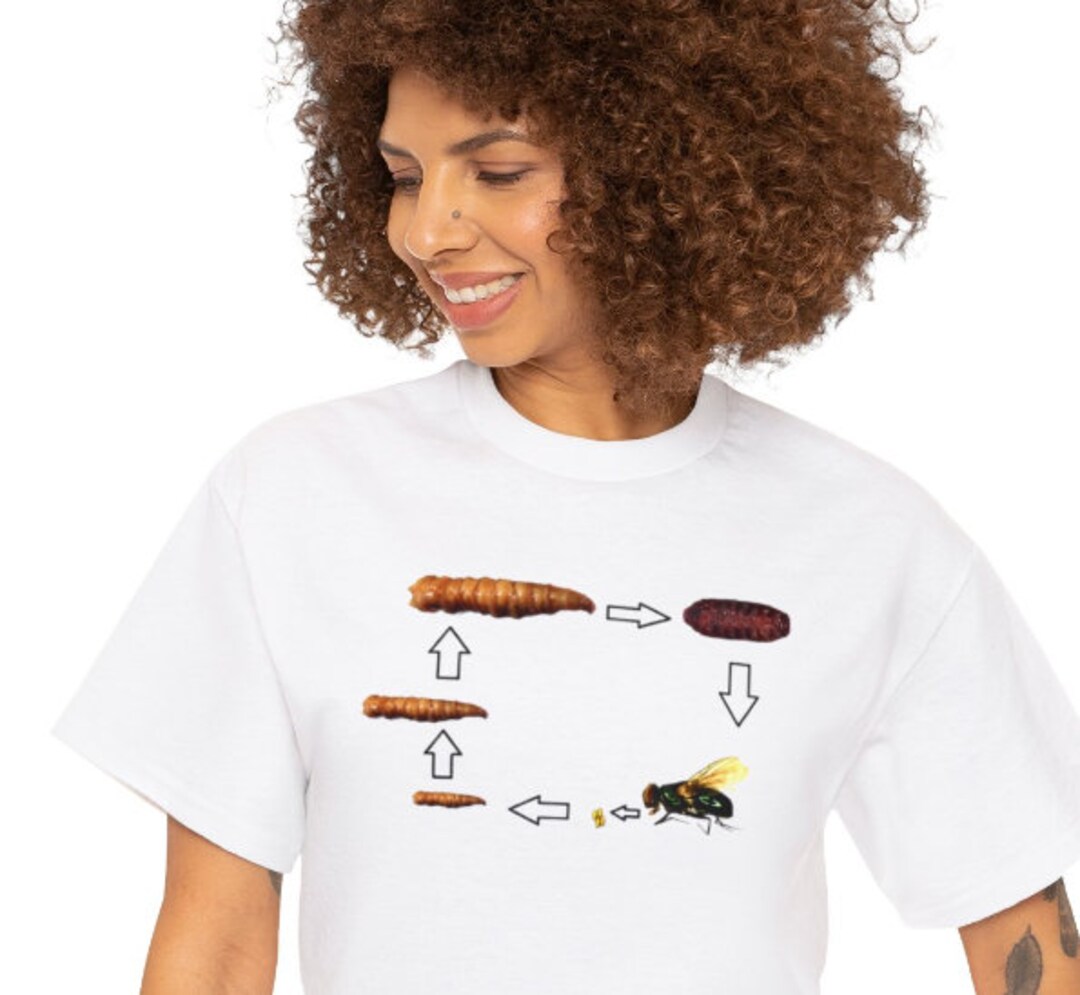 Life Cycle of Blowfly - Etsy