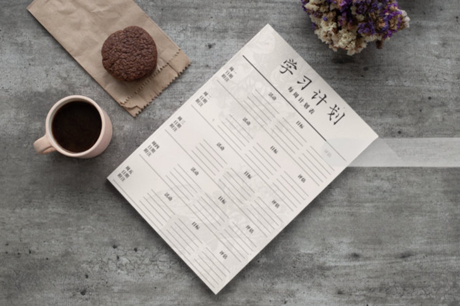 Study Plan, Chinese Student, Chinese Language, Instant Download, Daily ...