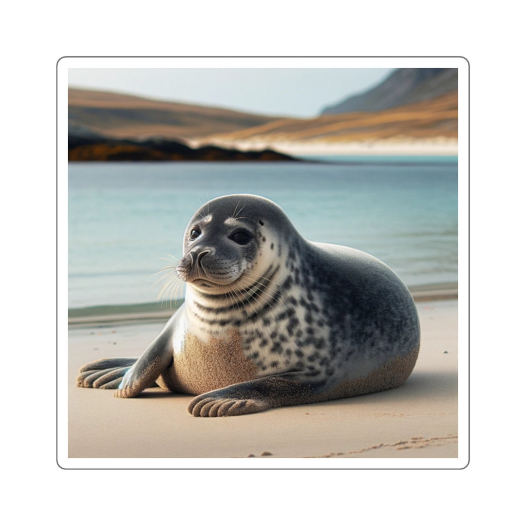 Sitting Seal Sticker - Etsy