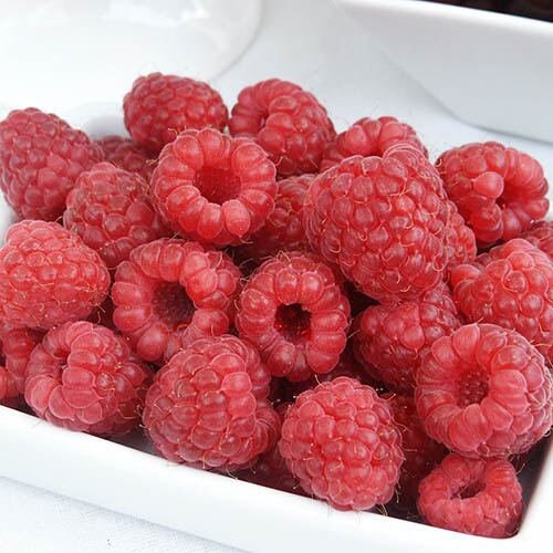 6 Heritage Everbearing Red Raspberry Plants (6 Mature Bare Root Canes ...