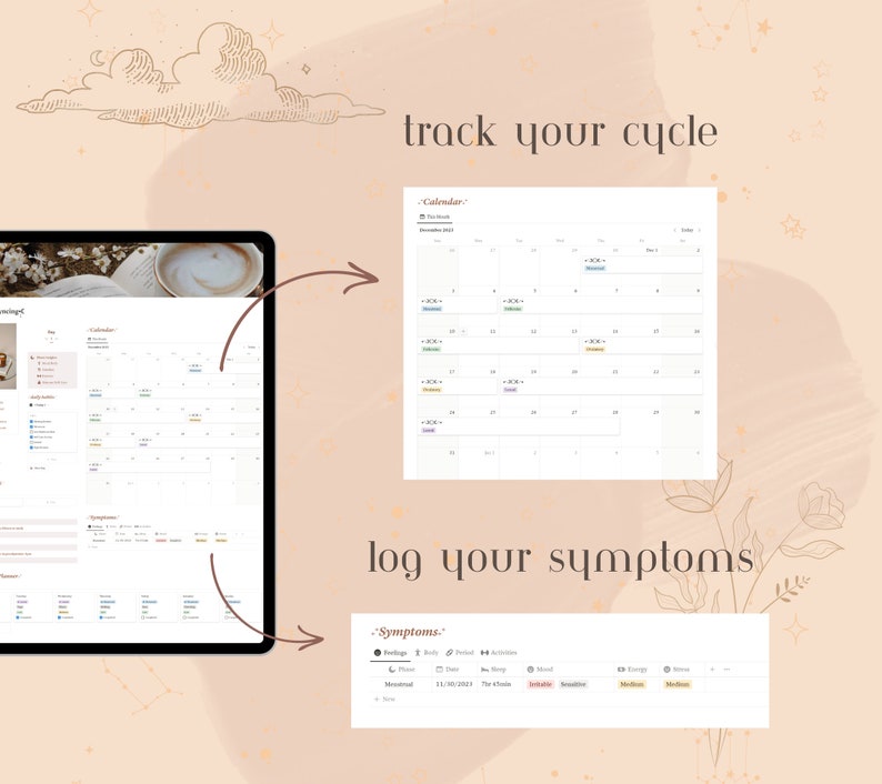 Cycle Syncing Notion Template | Cycle Syncing Planner | Cycle Syncing Nutrition, Workouts ...