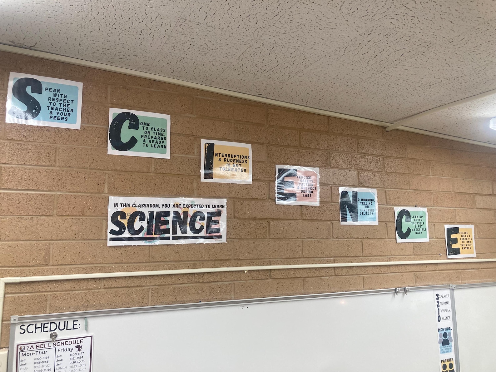Science Classroom Rules Printable Posters (PDF & Canva Template) - Etsy