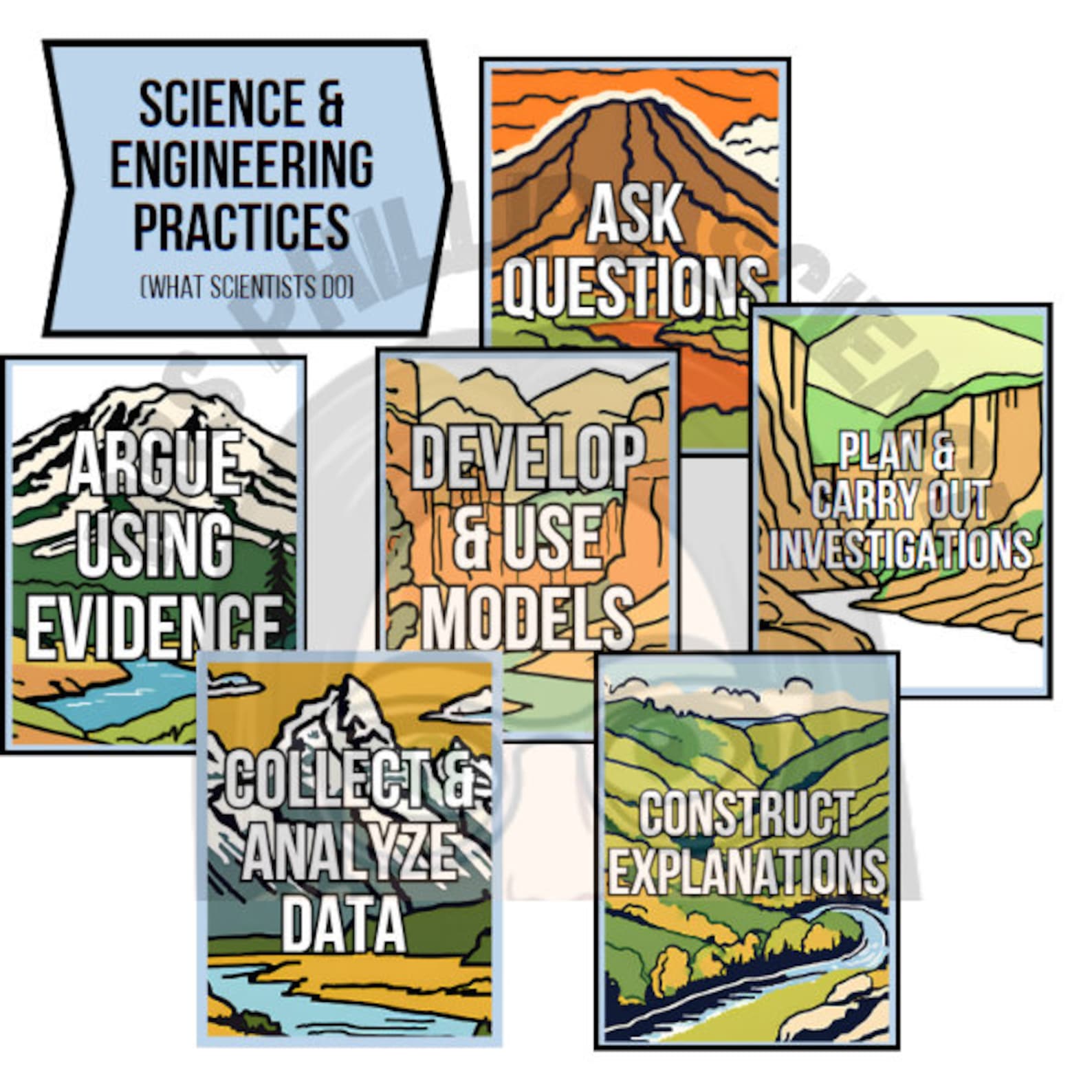 Forest NGSS Bulletin Board Posters (national Park) - Etsy