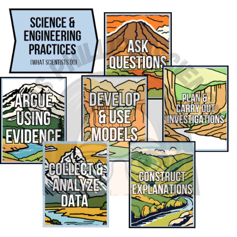 Forest NGSS Bulletin Board Posters (national Park) - Etsy