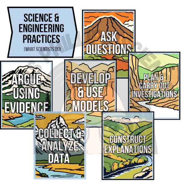 Forest NGSS Bulletin Board Posters (national Park) - Etsy