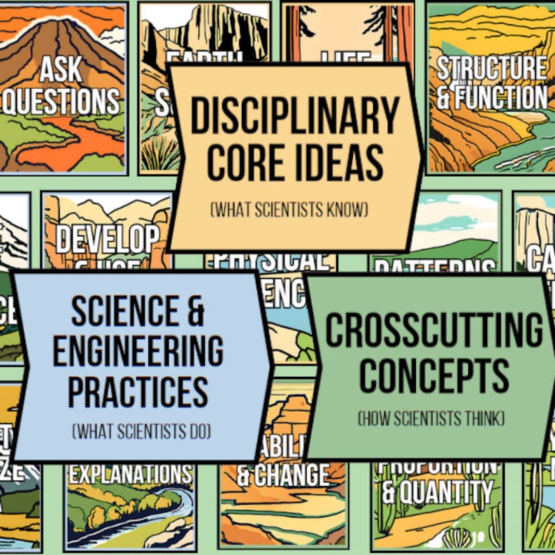 Forest NGSS Bulletin Board Posters (national Park) - Etsy