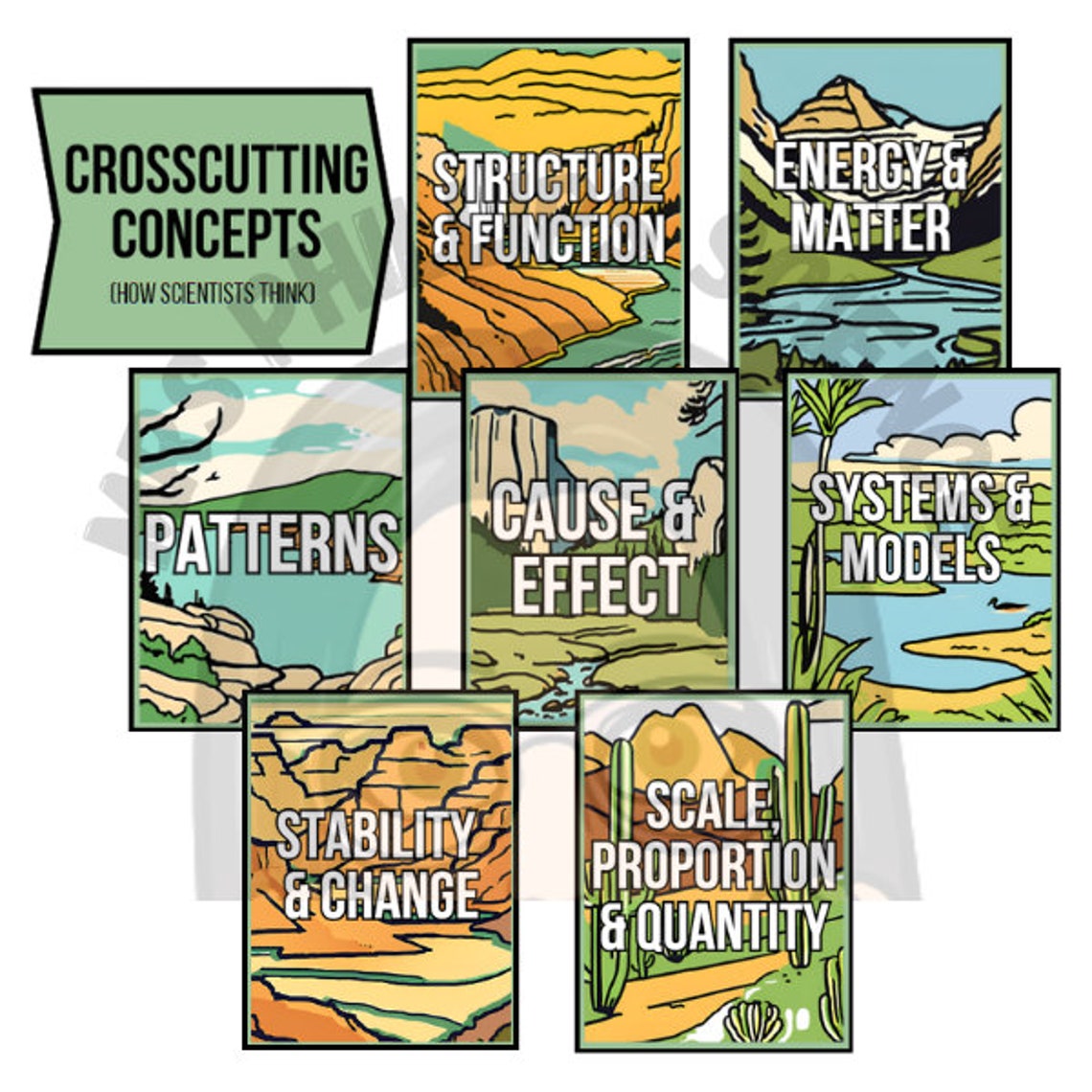 Forest NGSS Bulletin Board Posters (national Park) - Etsy