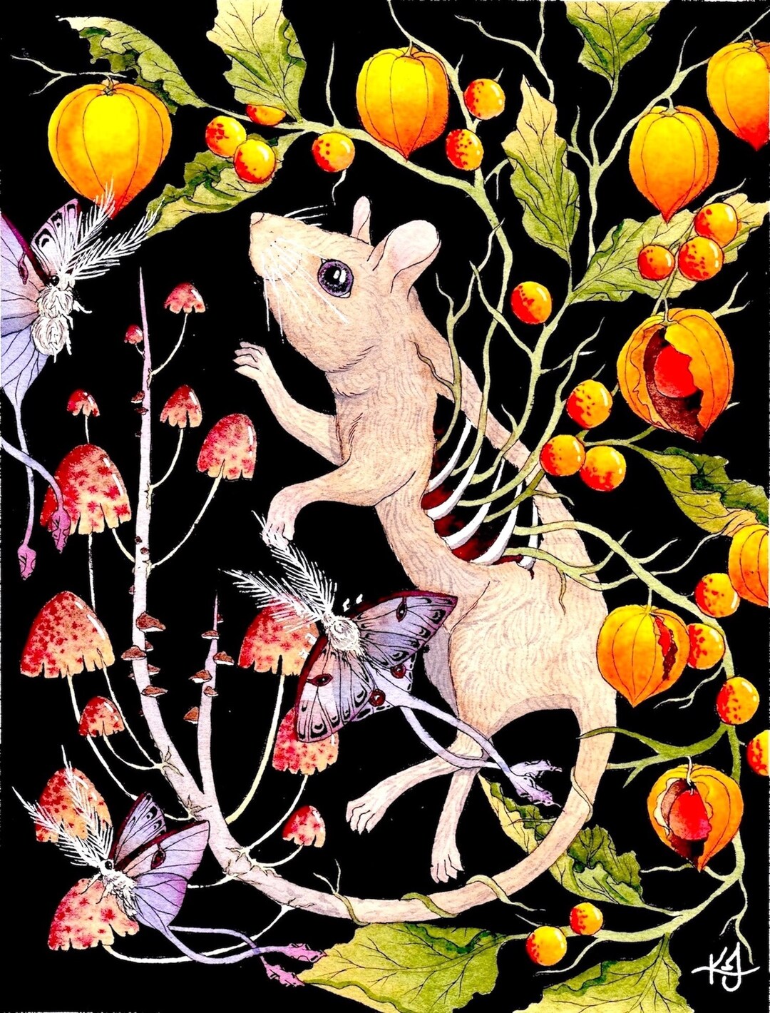 Field Rat Print - Etsy