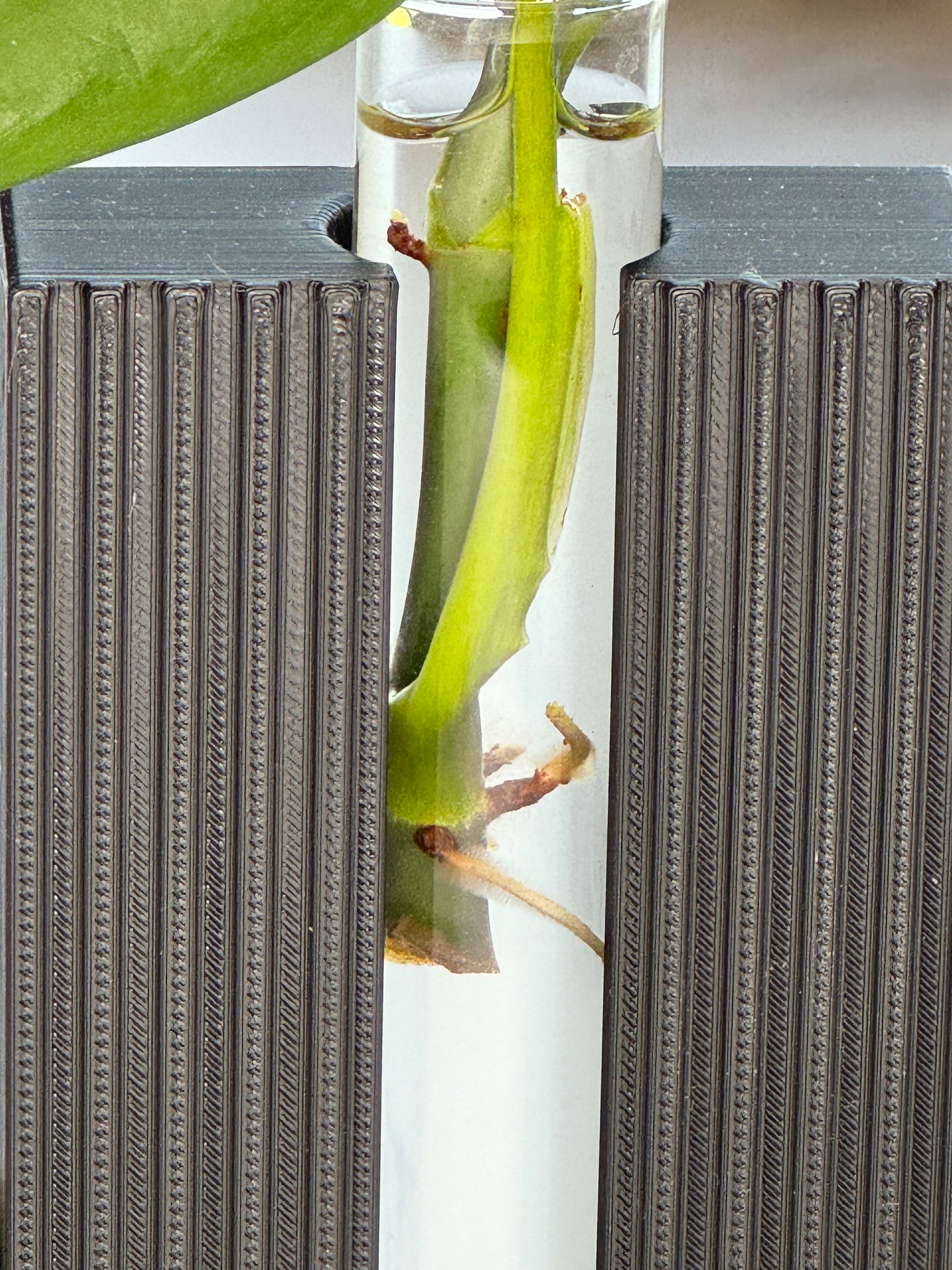 Ripple Propagation Planter / Wall Mount /stand - Etsy