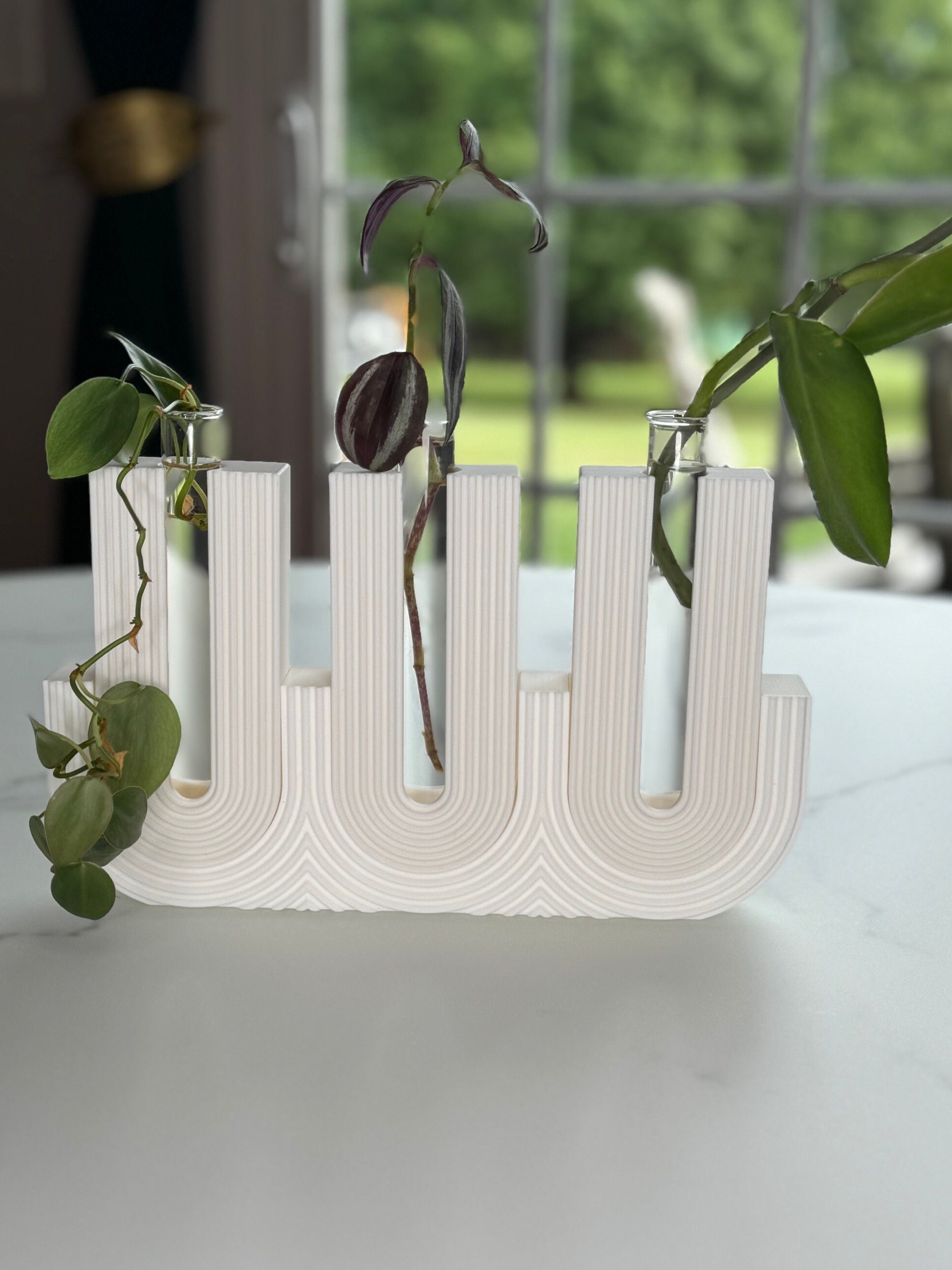 Ripple Propagation Planter / Wall Mount /stand - Etsy