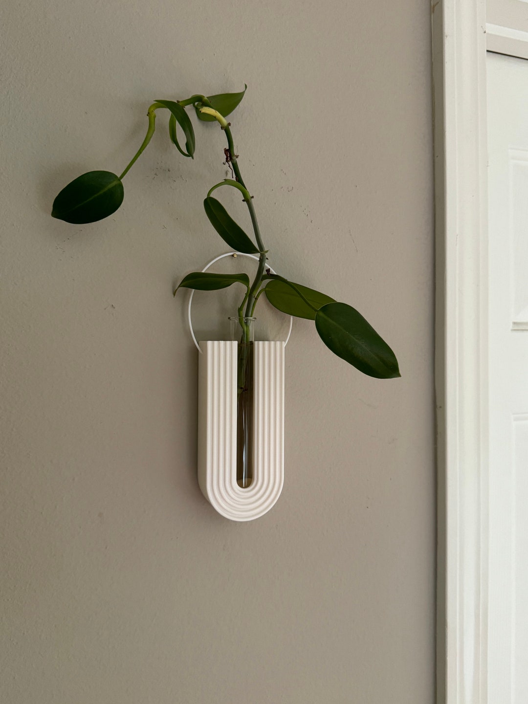 Ripple Propagation Planter / Wall Mount /stand - Etsy