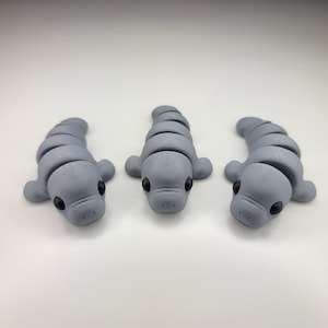 Baby Manatee 3D Printed Manatee Manatee Fidget Floaty Potato - Etsy
