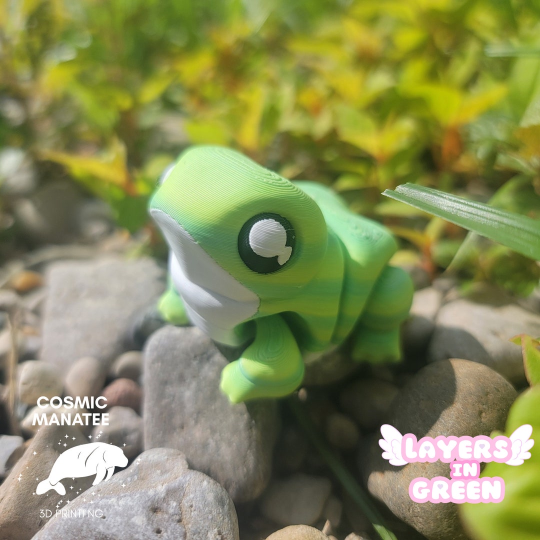 3D Printed Flexi Frog Fidget Toy: Desk Decor Frog Gift - Etsy