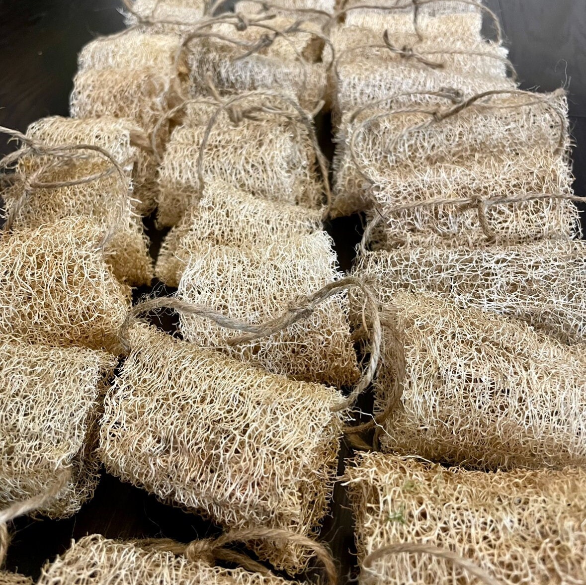 Organic Luffa Seeds - Etsy