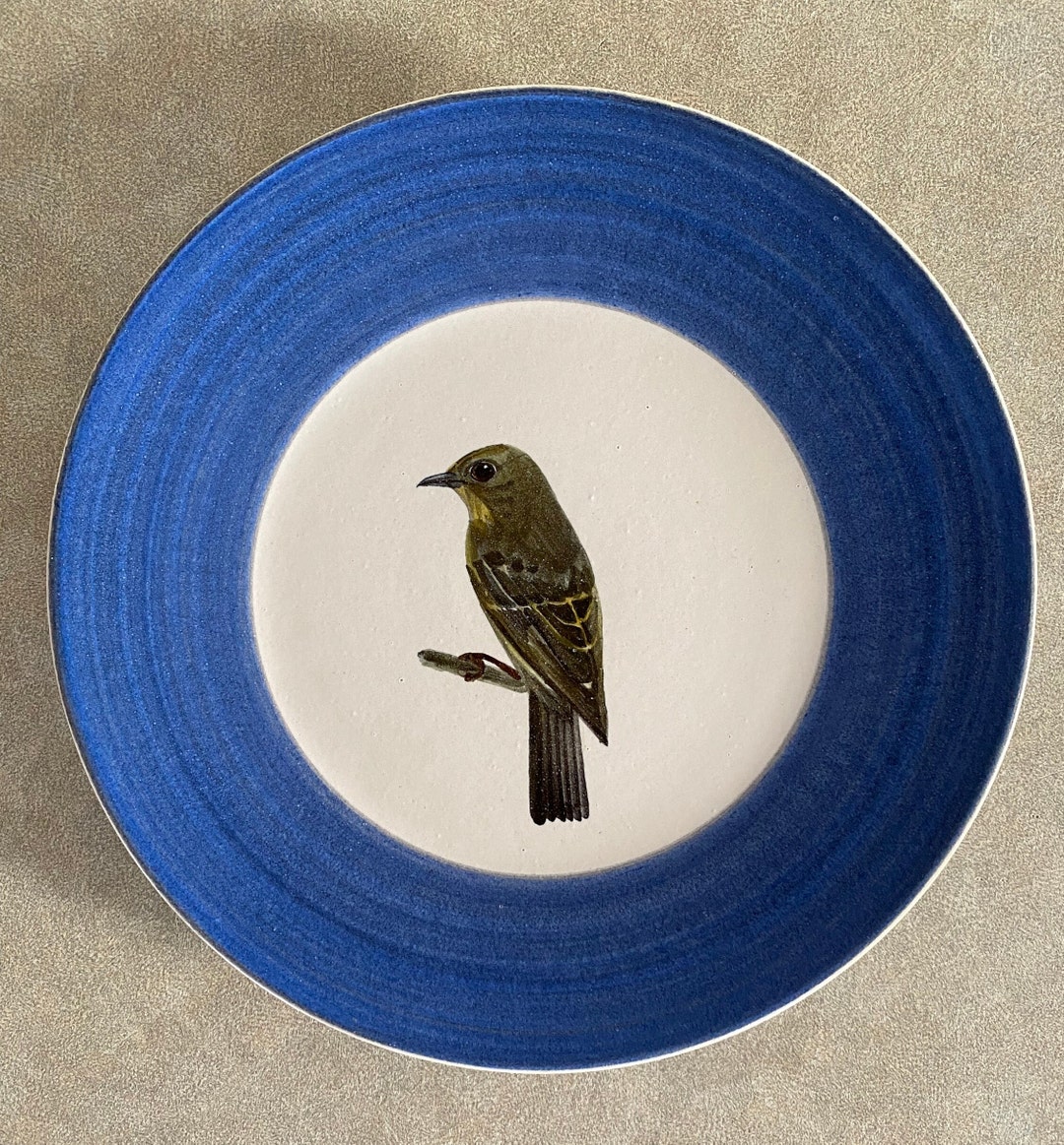 Marcel Guillermo Hand Painted Bird Pottery - Etsy