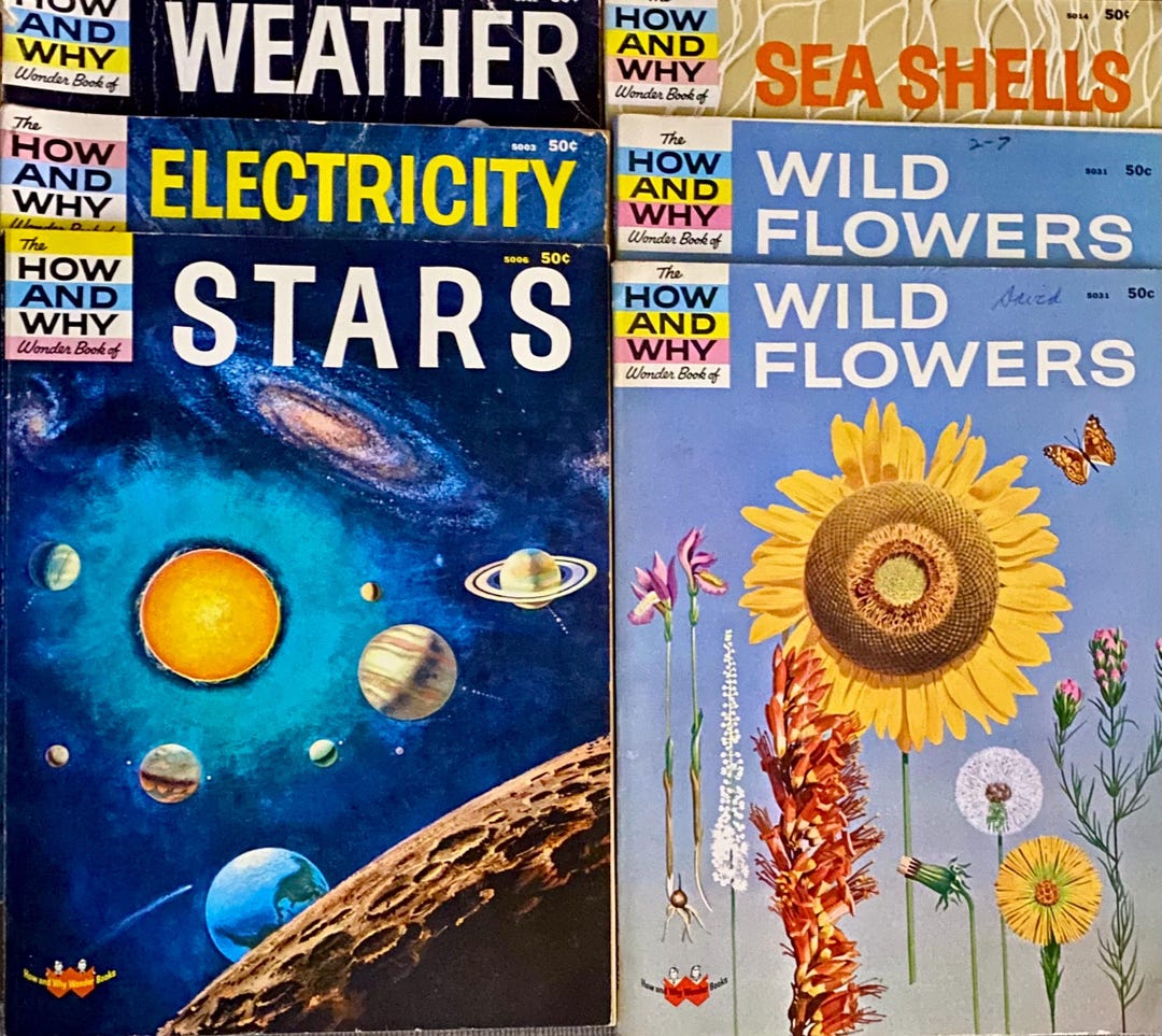 Lot of 6 Vintage How and Why Wonder Books 1960s - Etsy
